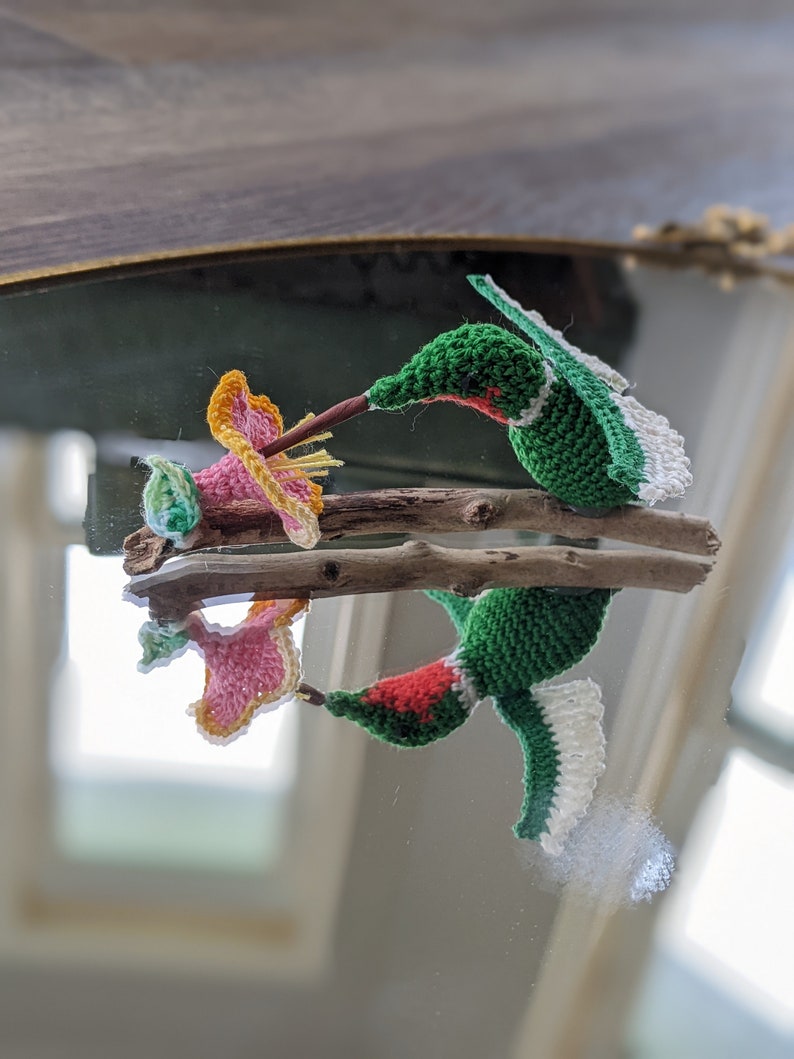 Ruby-throated Hummingbird Crochet Pattern - Etsy