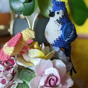 Blue Jay Crochet Pattern - Etsy