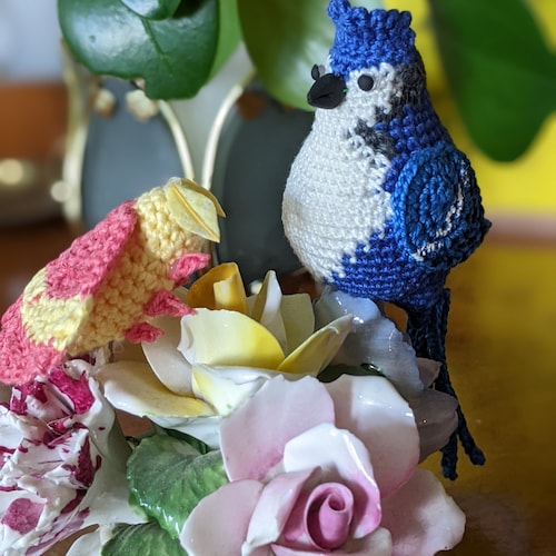 Blue Jay Crochet Pattern - Etsy