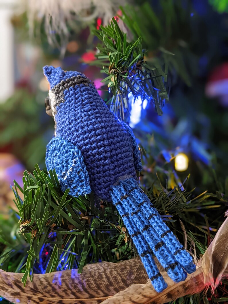Blue Jay Crochet Pattern - Etsy
