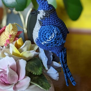 Blue Jay Crochet Pattern - Etsy