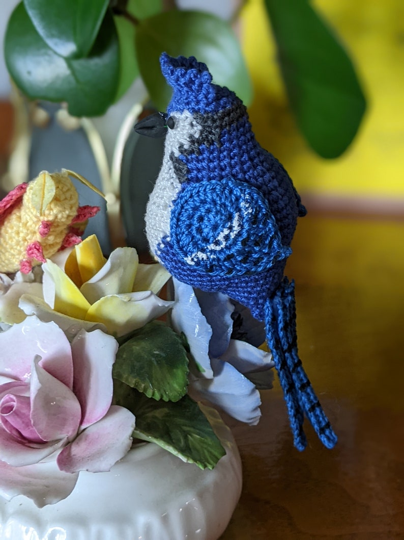 Blue Jay Crochet Pattern - Etsy