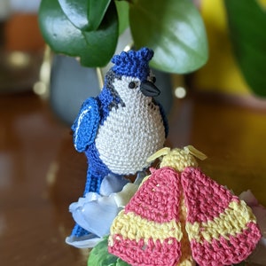 Blue Jay Crochet Pattern - Etsy