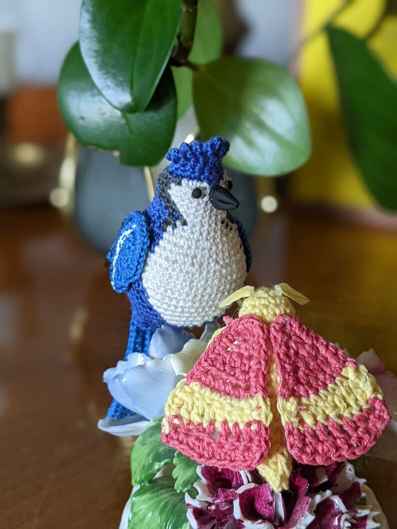 Blue Jay Crochet Pattern - Etsy