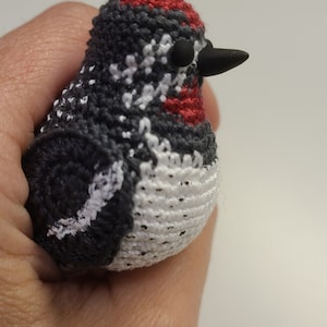 Woodpecker Crochet Pattern - Etsy