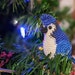 Blue Jay Crochet Pattern - Etsy