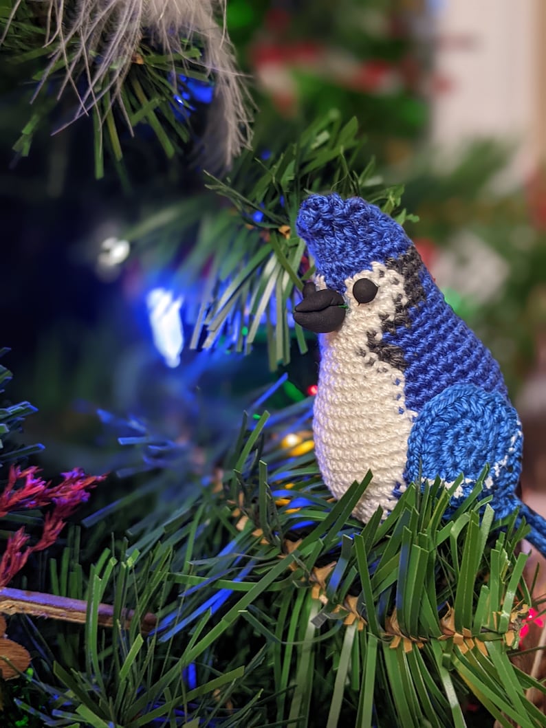 Blue Jay Crochet Pattern - Etsy