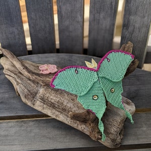 Luna Moth Crochet Pattern - Etsy