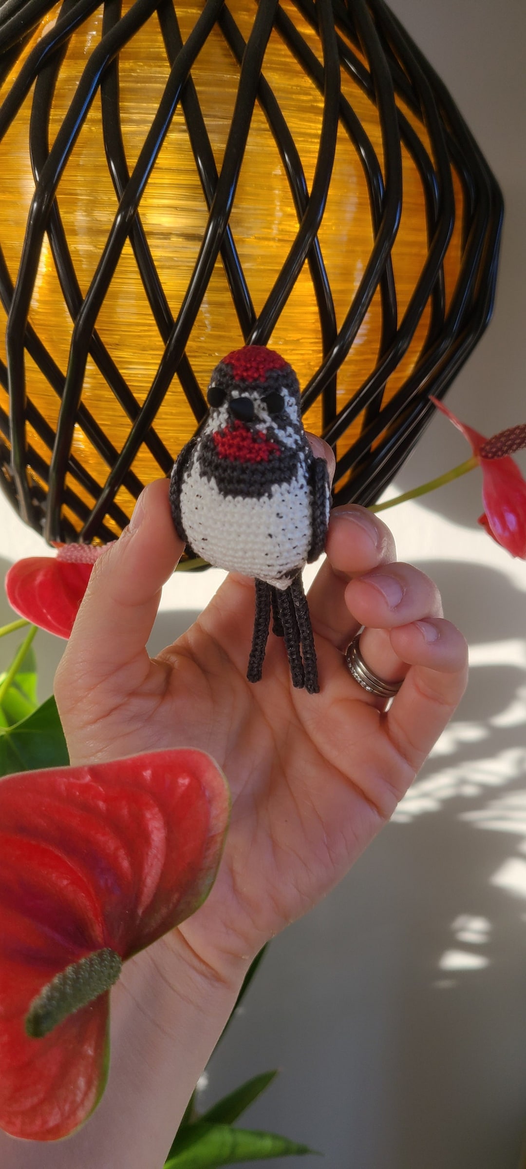 Woodpecker Crochet Pattern - Etsy