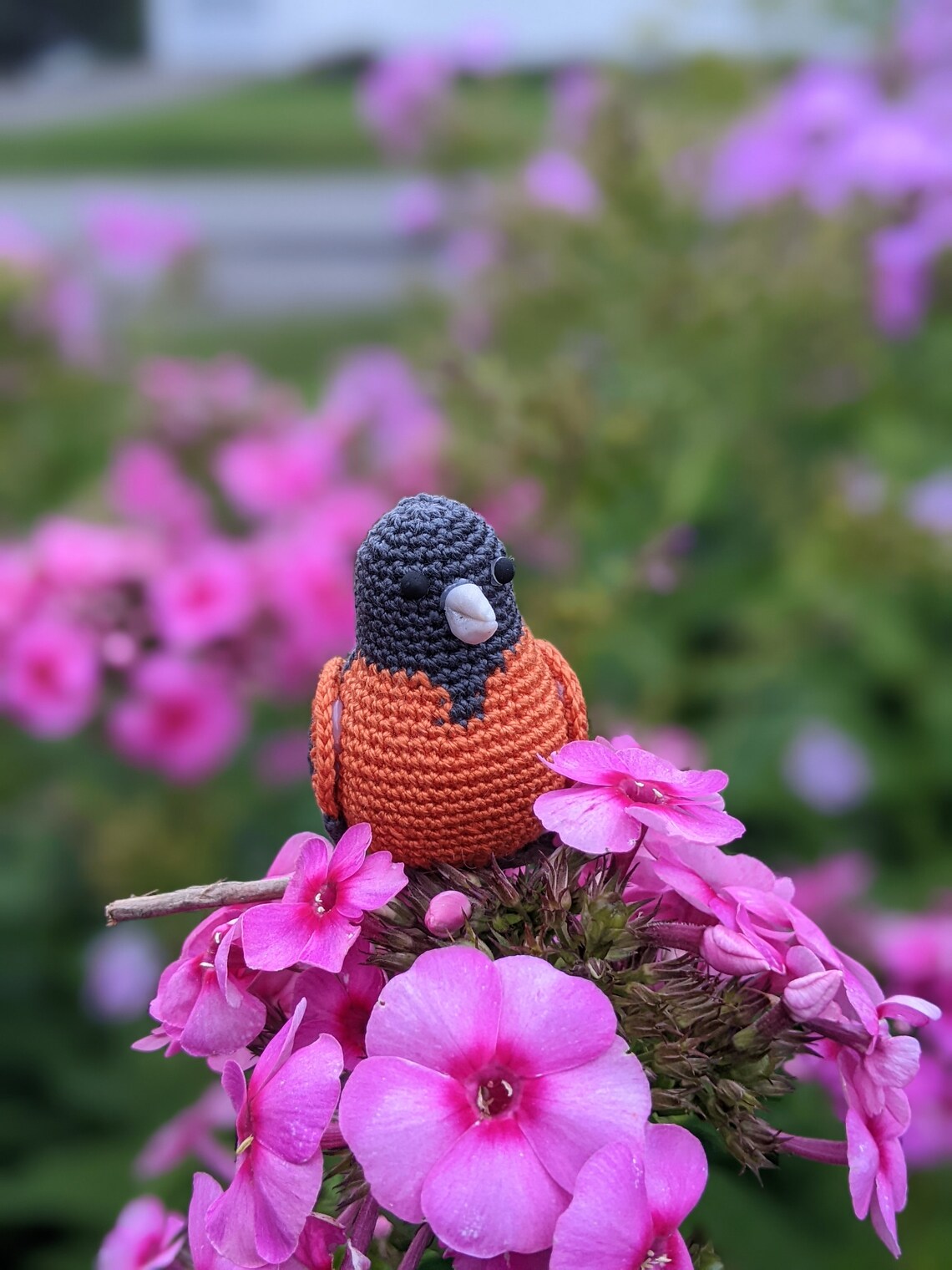 Baltimore Oriole Crochet Pattern - Etsy