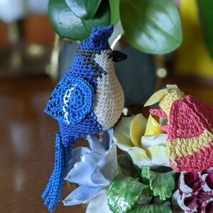 Blue Jay Crochet Pattern - Etsy