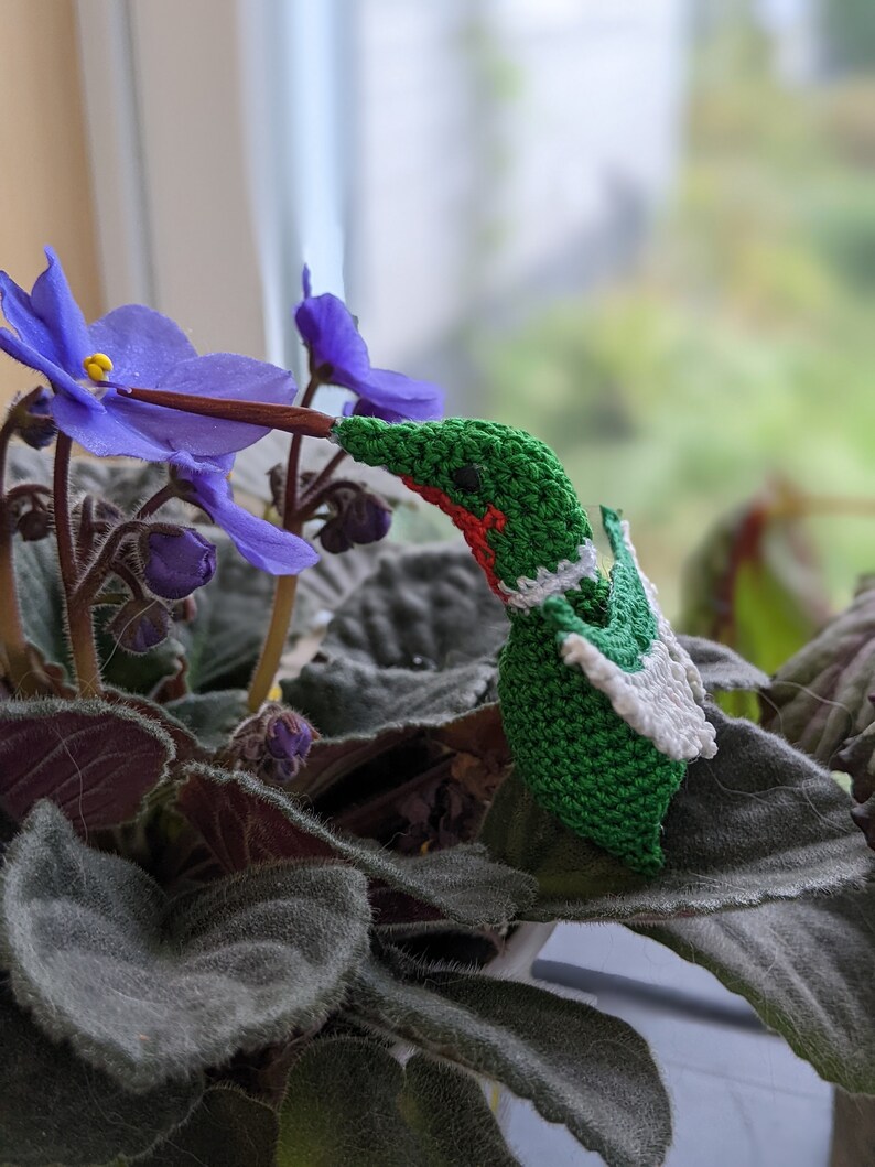 Ruby-throated Hummingbird Crochet Pattern - Etsy