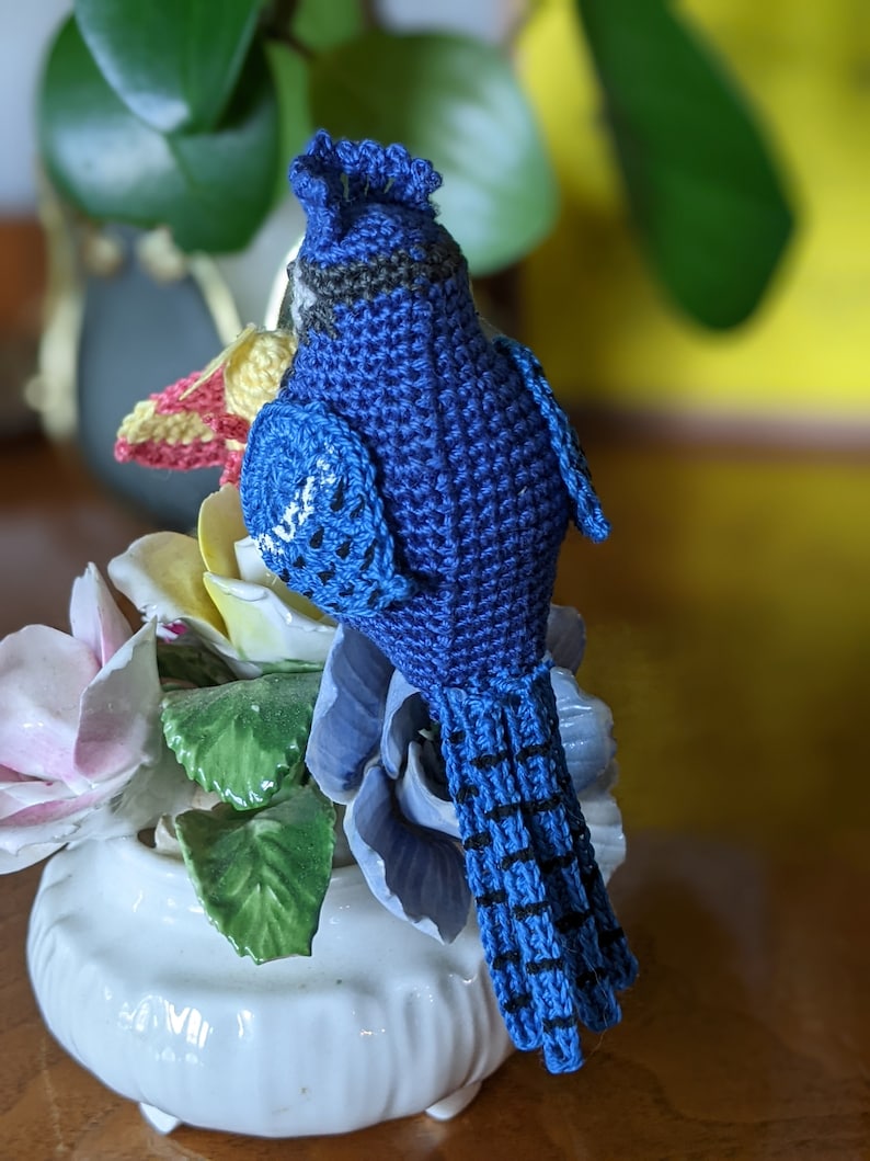 Blue Jay Crochet Pattern - Etsy