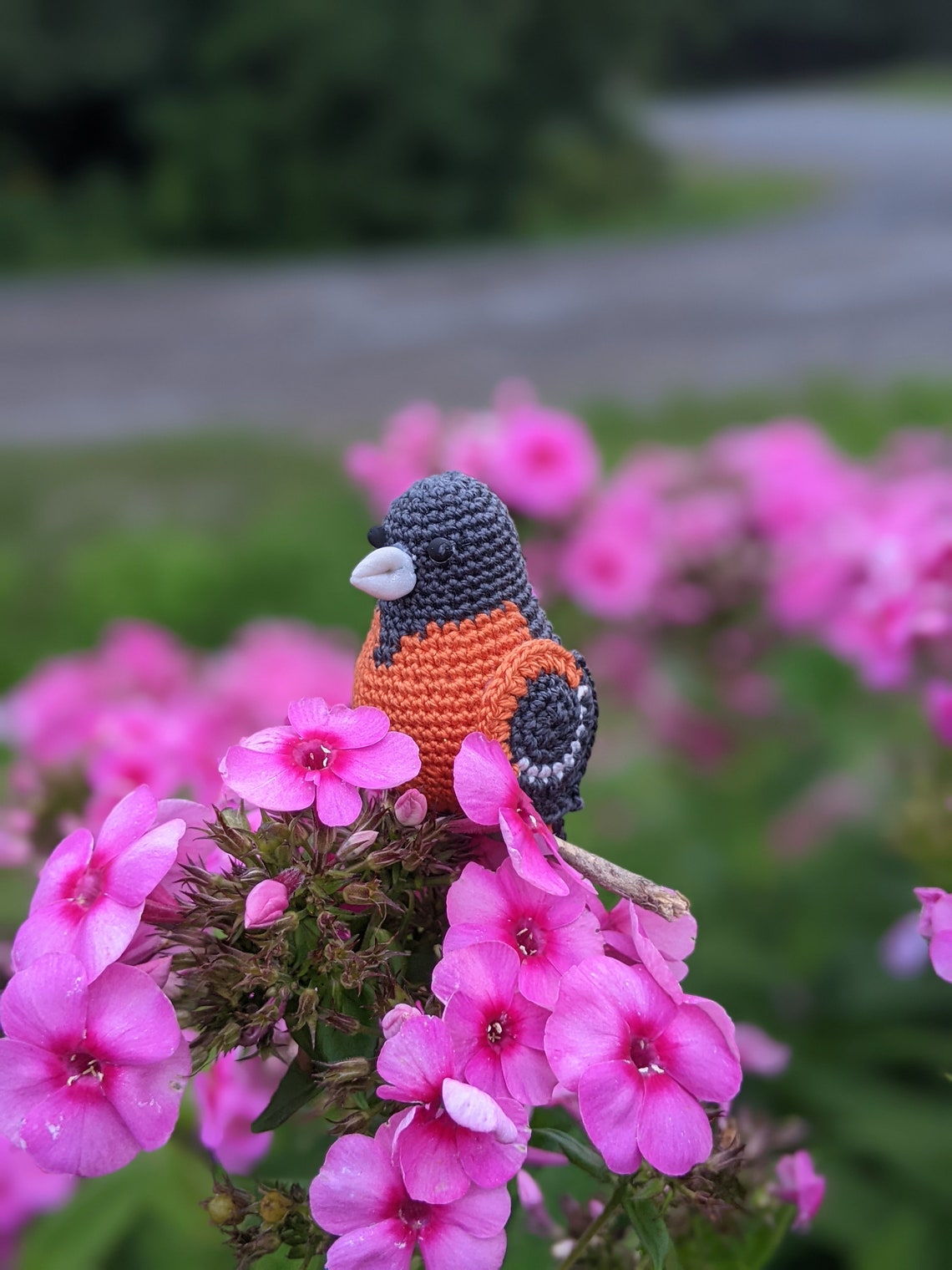 Baltimore Oriole Crochet Pattern - Etsy