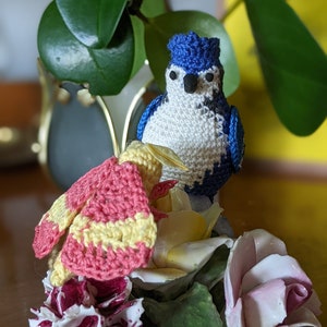 Blue Jay Crochet Pattern - Etsy