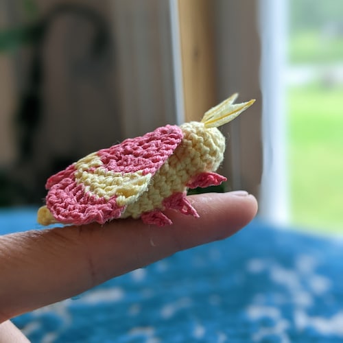 Rosy Maple Moth Crochet Pattern - Etsy