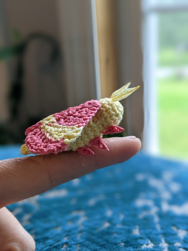 Rosy Maple Moth Crochet Pattern - Etsy