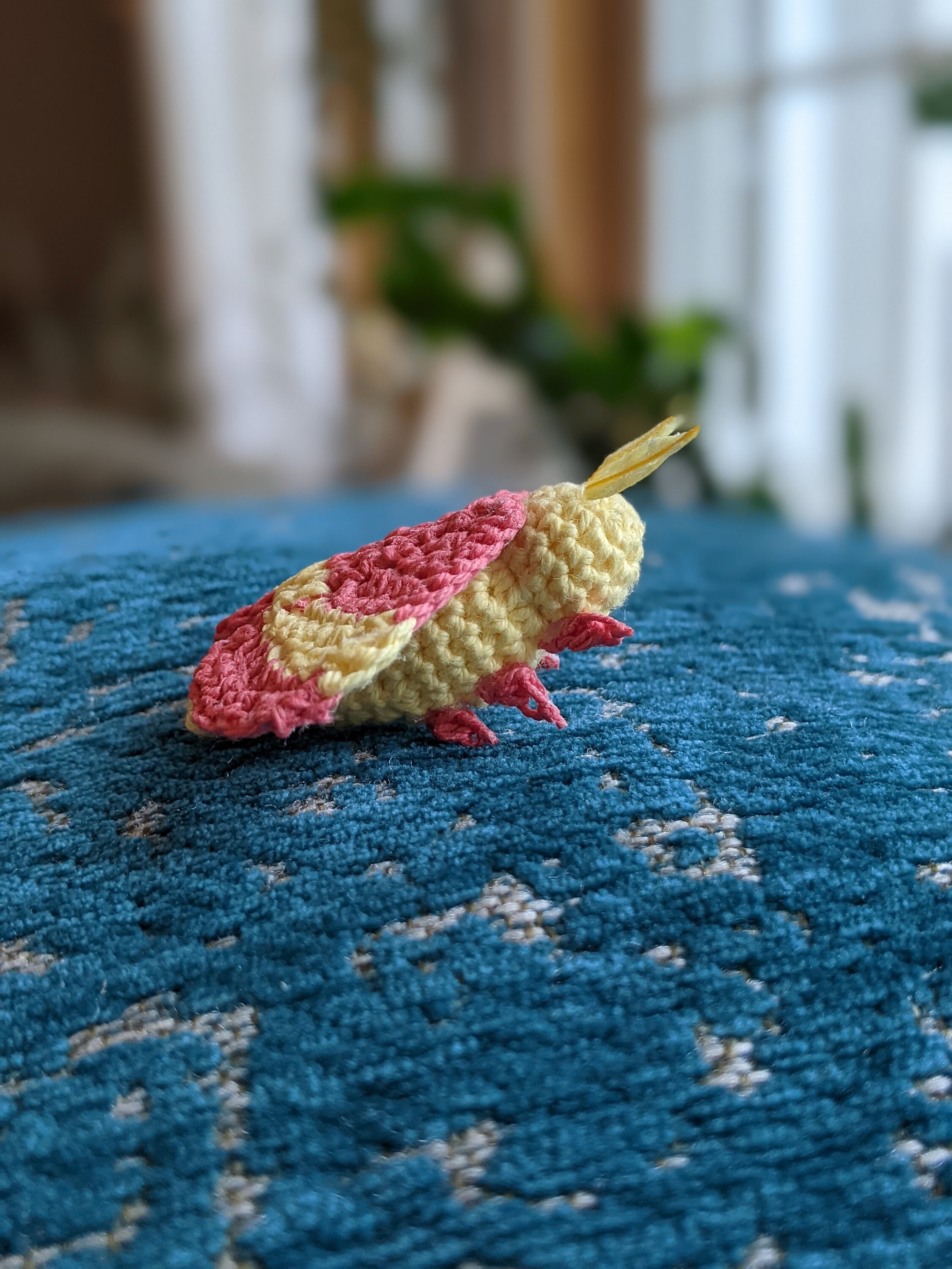 Rosy Maple Moth Crochet Pattern - Etsy UK