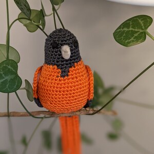 Baltimore Oriole Crochet Pattern - Etsy