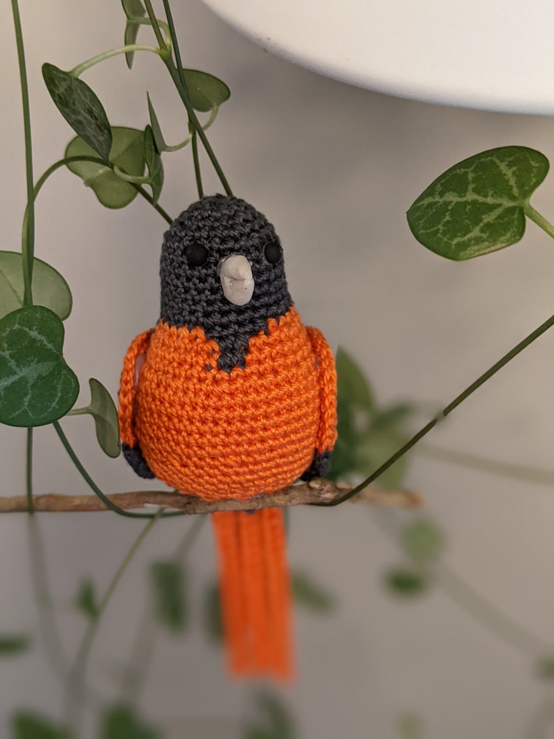 Baltimore Oriole Crochet Pattern - Etsy