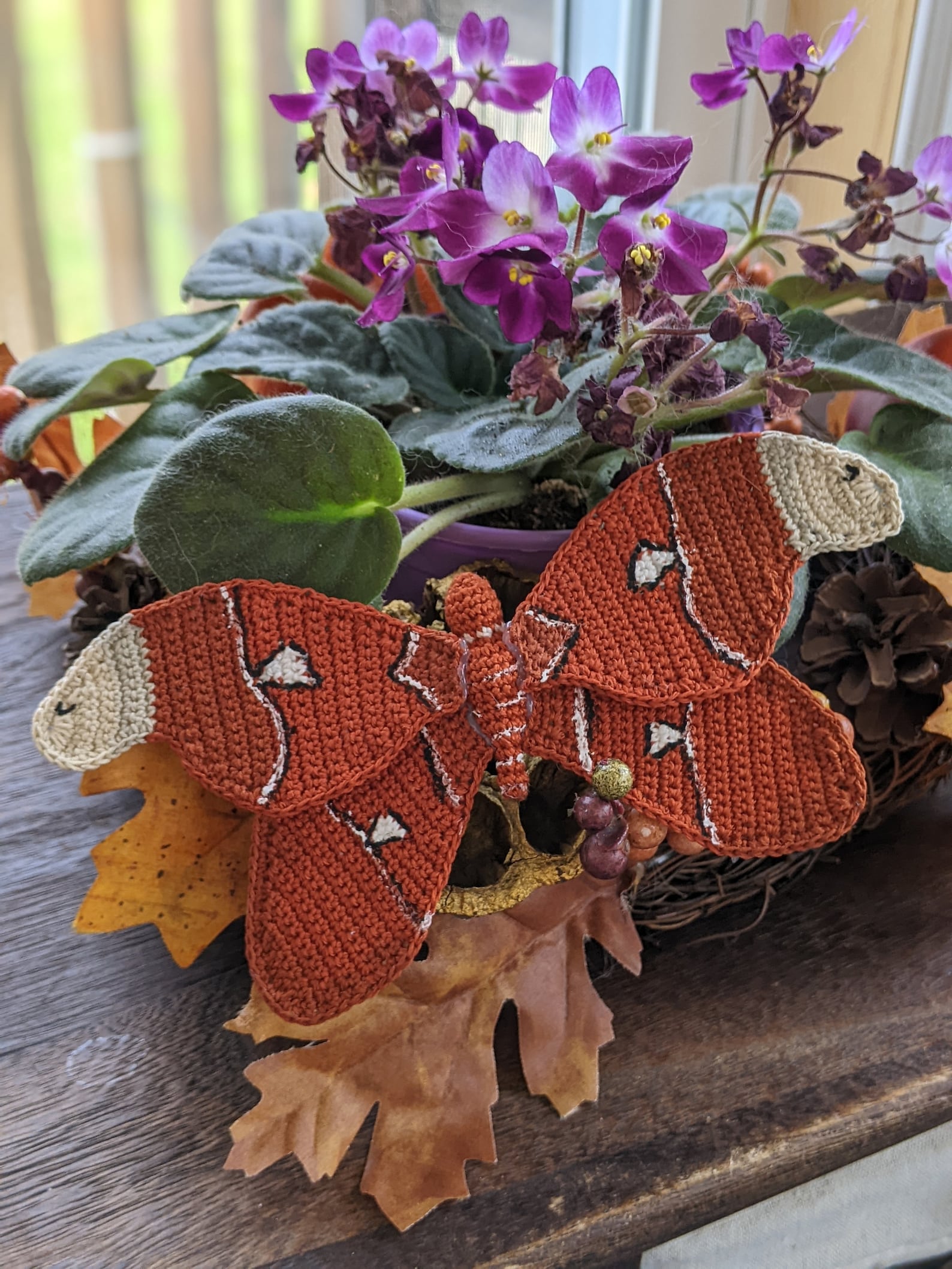 Atlas Moth Crochet Pattern - Etsy