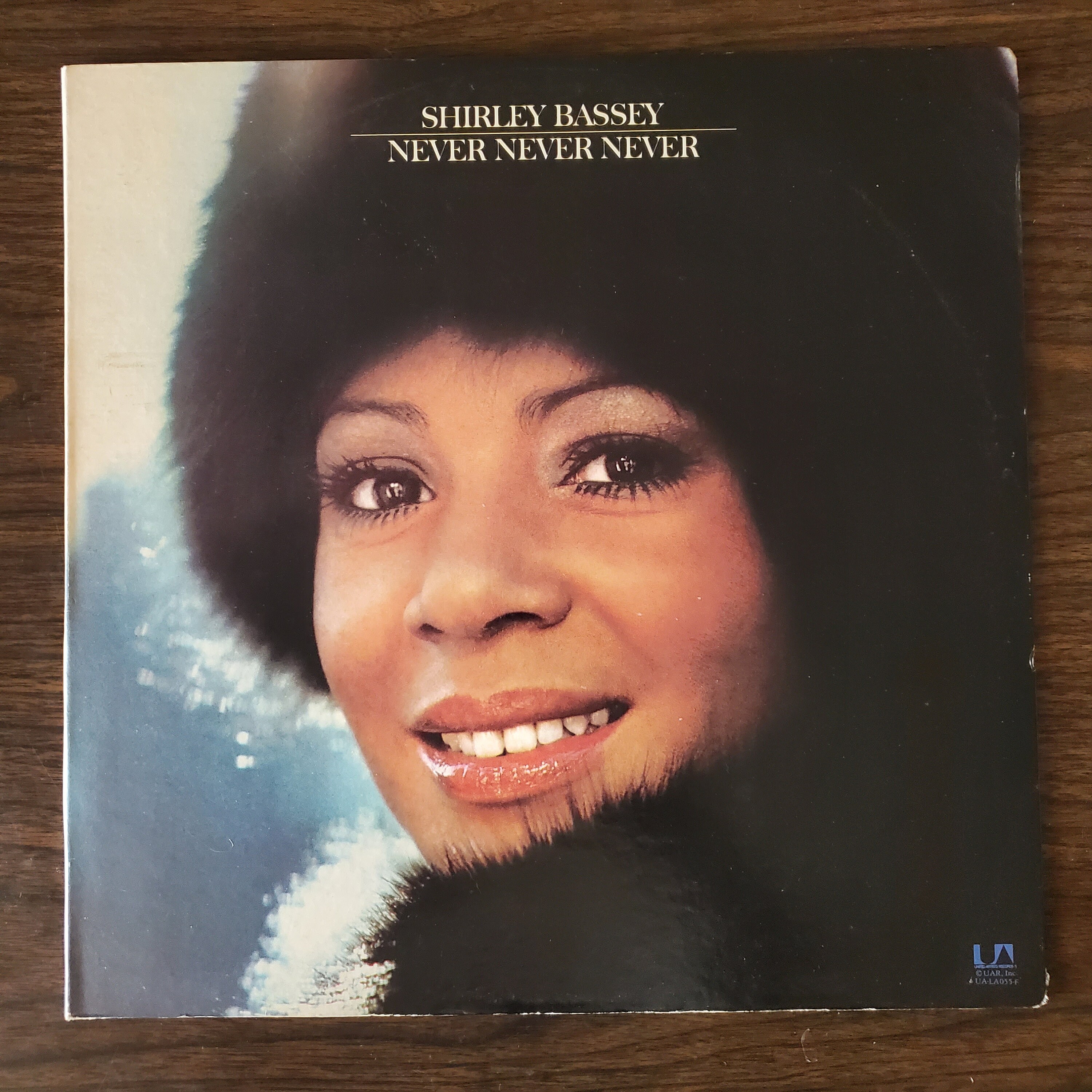 Vintage Album: Shirley Bassey - Never Never Never, 1973, LP, Vinyl ...