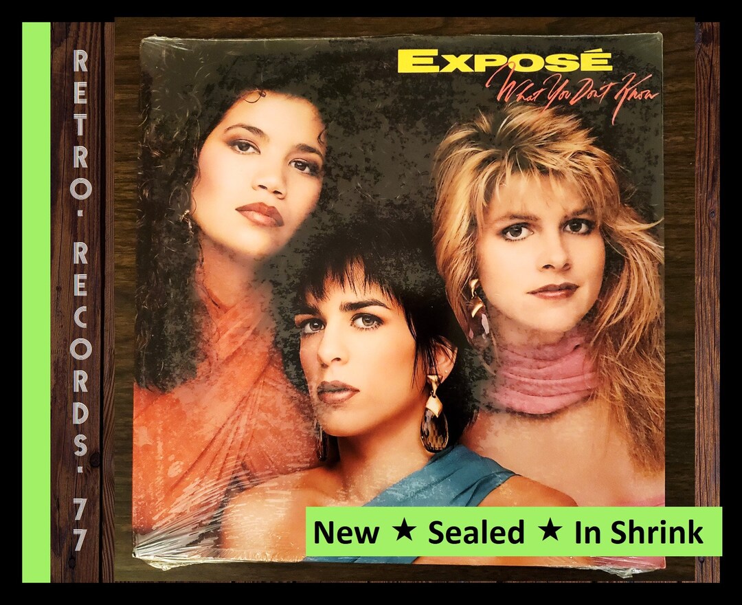 Exposé-what You Don't Know LP, 1989, New Unopened, Album, LP, Vinyl ...
