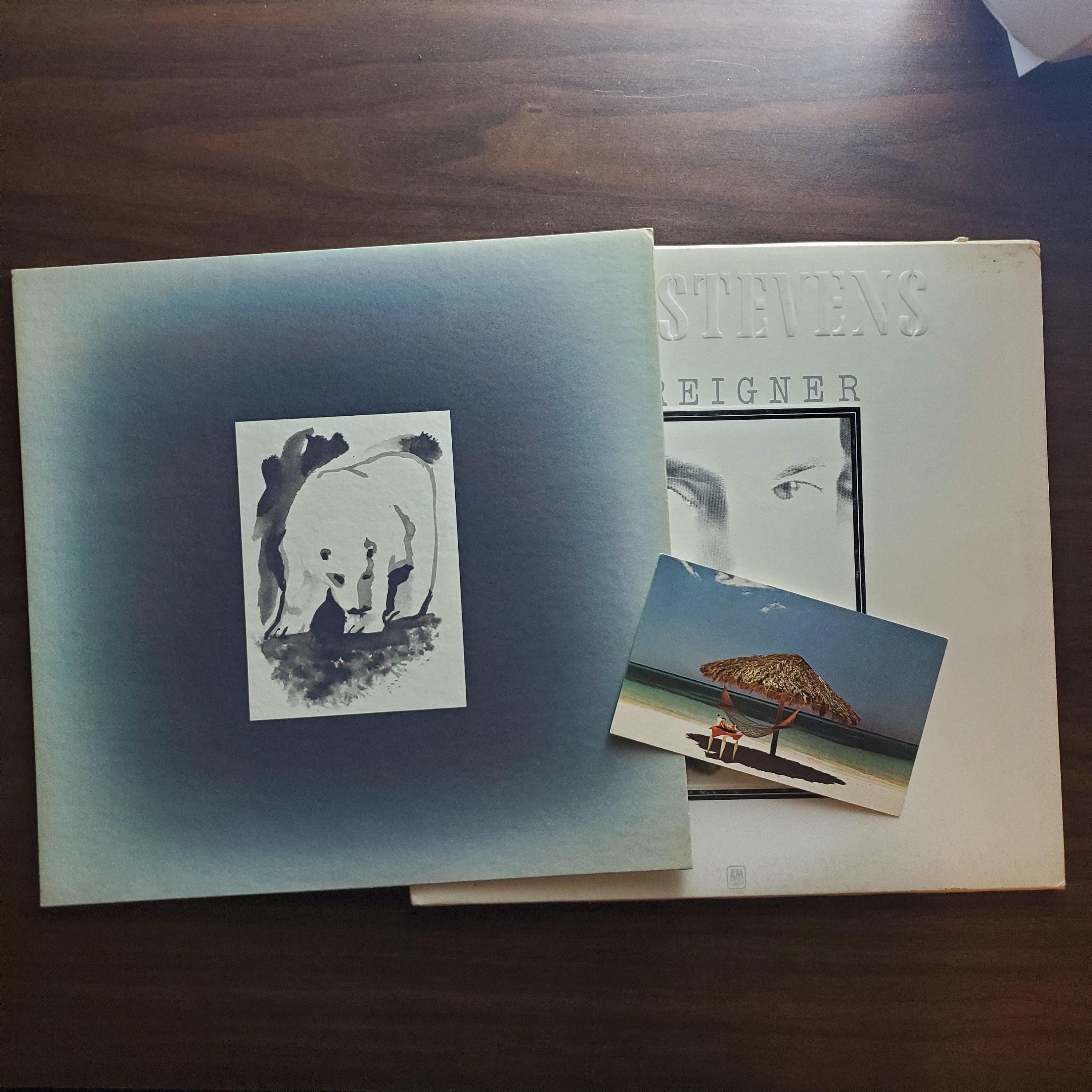 Cat Stevens – Foreigner Album, 1973 - Etsy