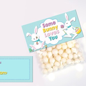 Printable EASTER TREAT BAG Toppers - Some Bunny Loves You Treat Bag ...