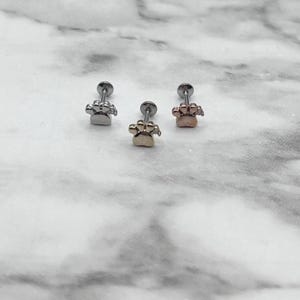 CZ Set Pet Paw Print Threadless Top 316L Surgical Steel 20G Push in ...