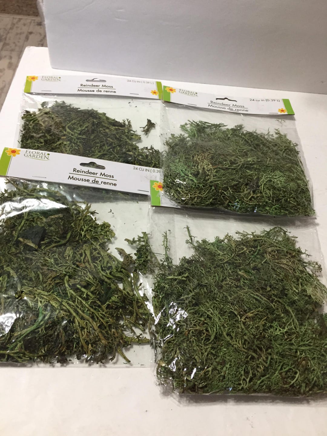 6 Floral Garden Dried Reindeer Moss Crafts Packages - Etsy