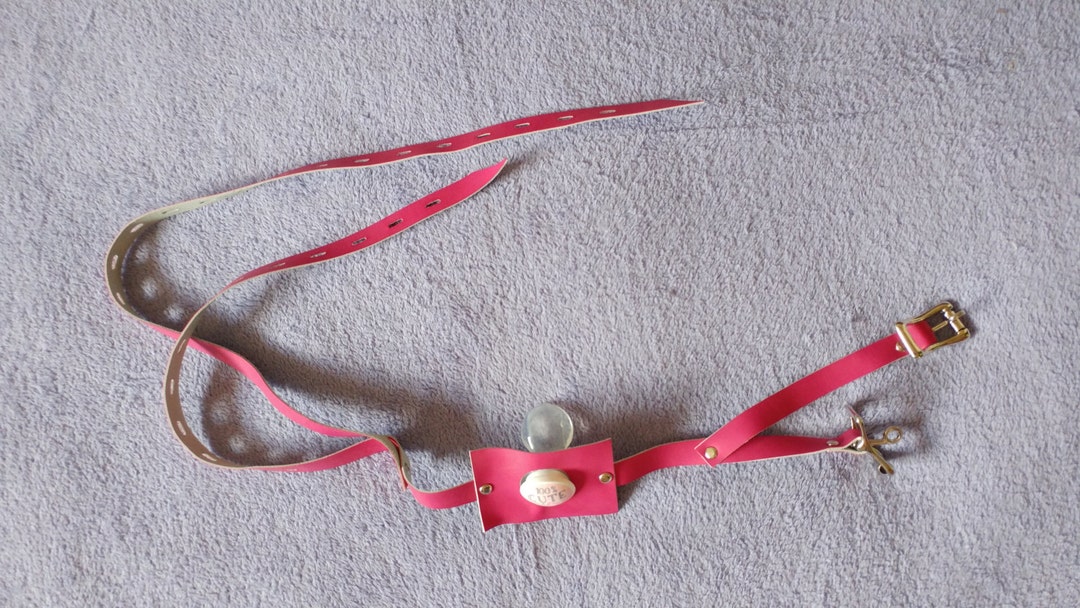 Locking Adult Pacifier Gag Harness - Etsy