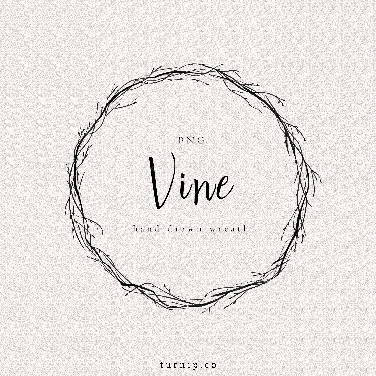 Black Vine Clip Art
