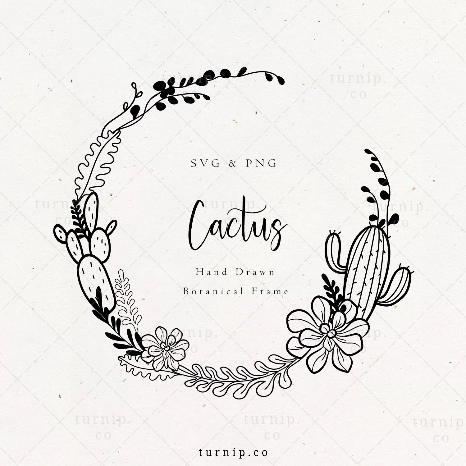 Succulent Wreath SVG Open Cactus Laurel Frame PNG Rustic | Etsy