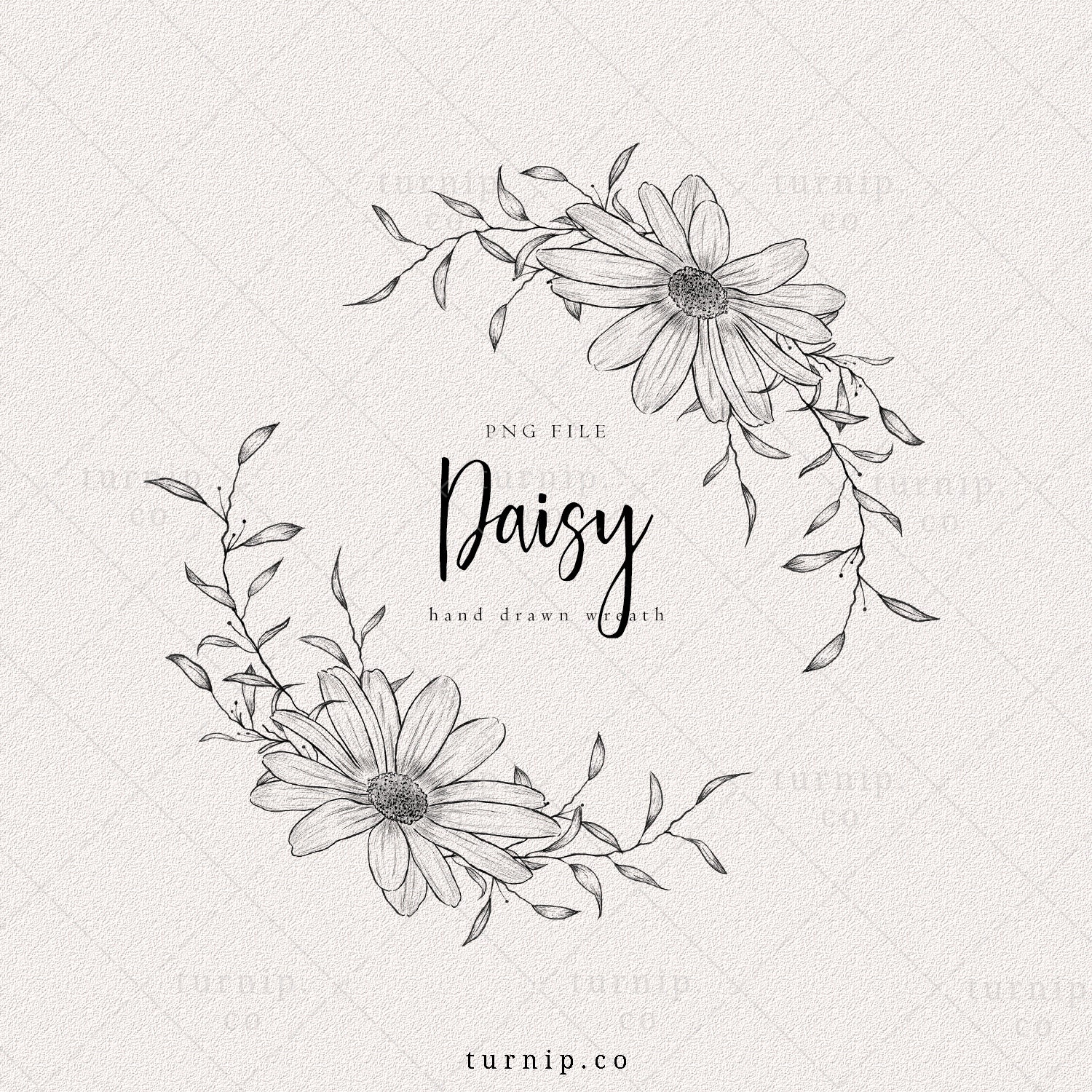 Daisy Wreath Clipart Botanical Illustration Download Daisy - Etsy Canada