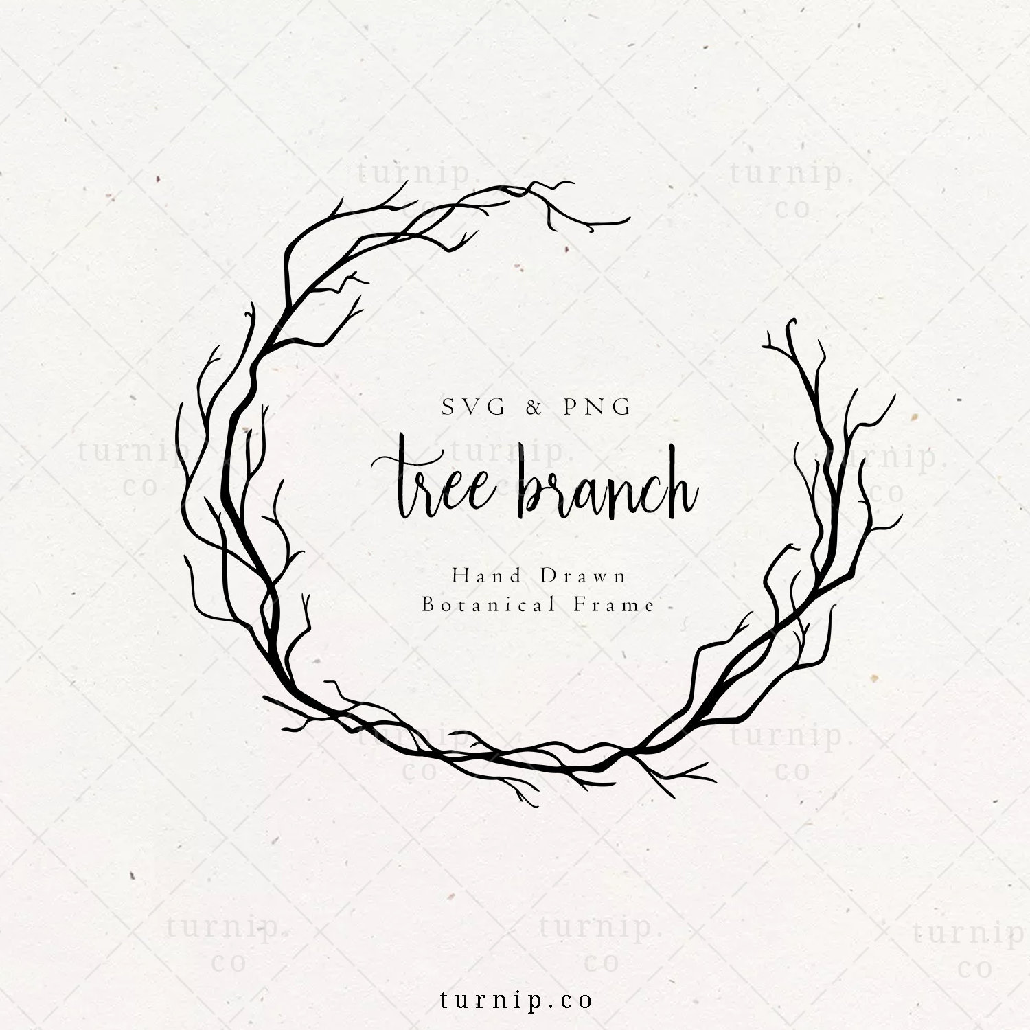 Tree Branch Vector Png