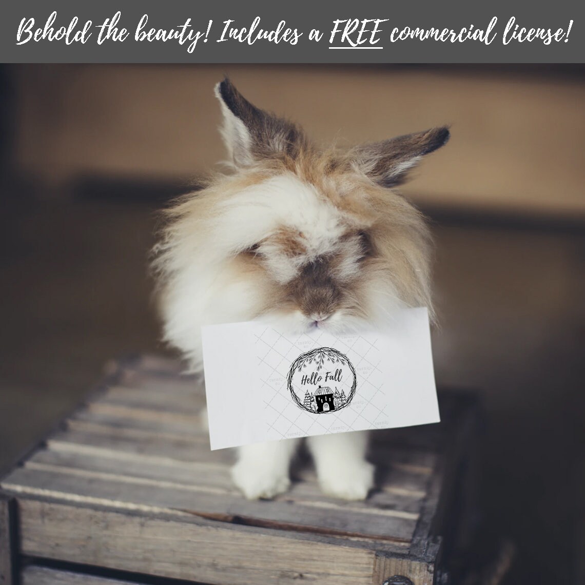 Welcome Home SVG PNG Clipart Wreath Botanical Border Frame - Etsy