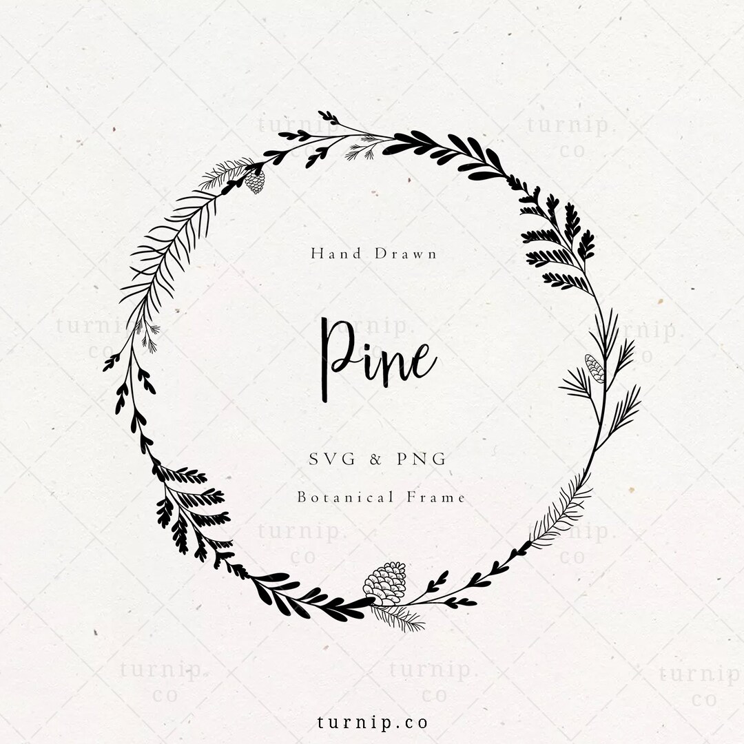 Pine Cone Border Clip Art