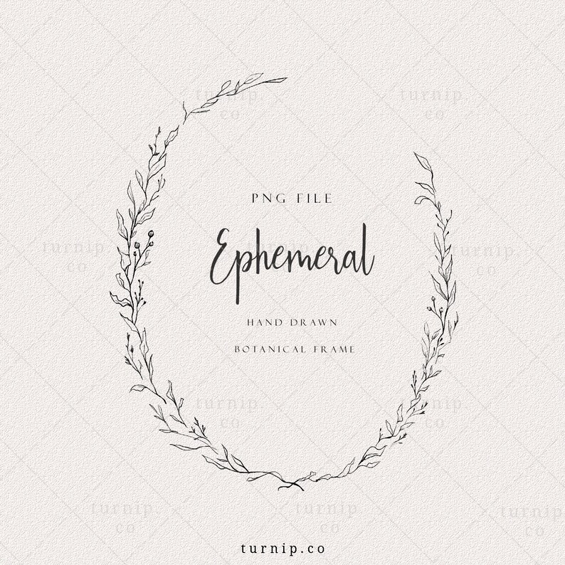 Ephemeral Oval Frame PNG Clipart Sublimation Graphic Design / - Etsy