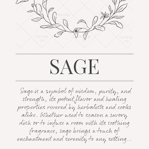 Sage Lady Bugs SVG & PNG Clipart Sublimation Graphic Design - Etsy