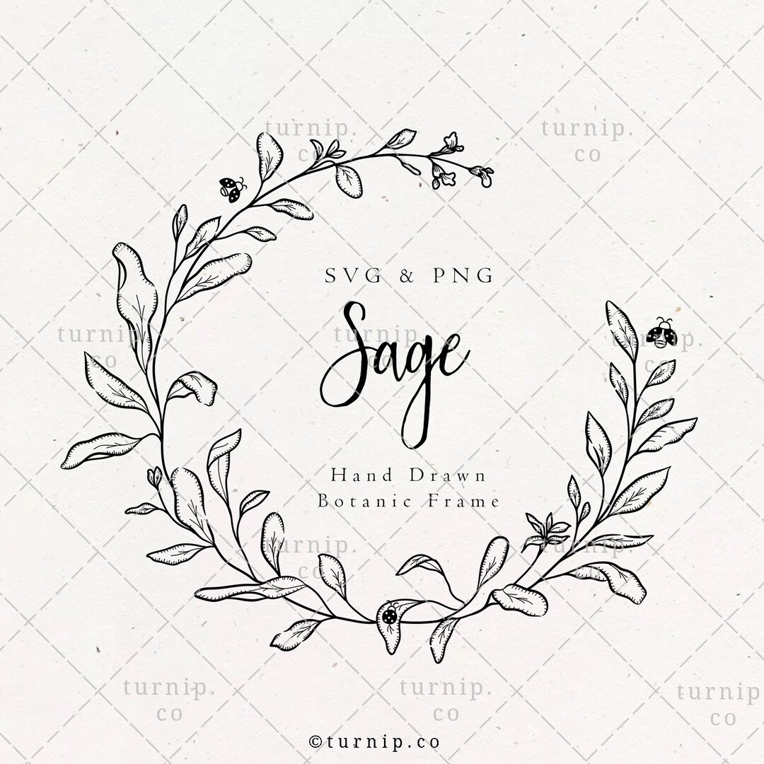 Sage Lady Bugs SVG & PNG Clipart Sublimation Graphic Design - Etsy