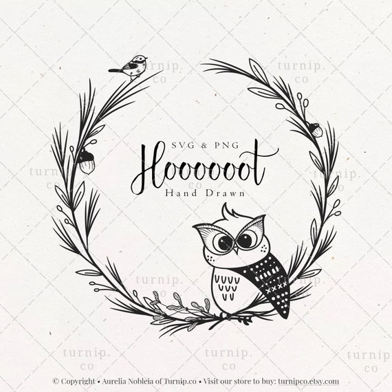 Cute Owl Borders And Frames