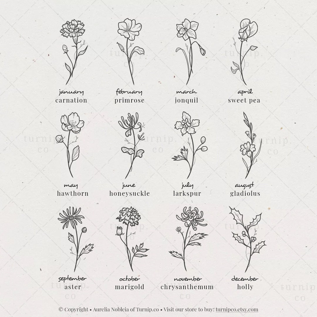December Birth Flower Clip Art