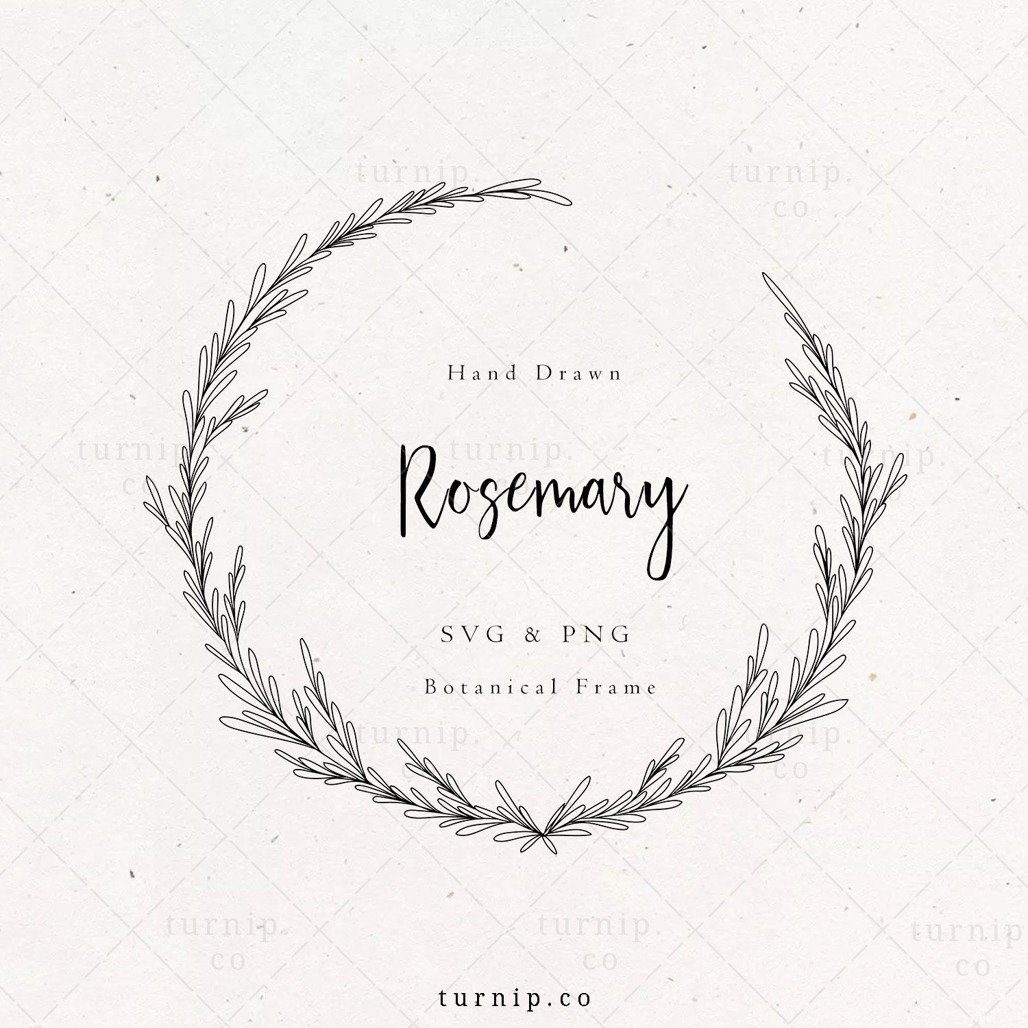 Rosemary Wreath Illustration