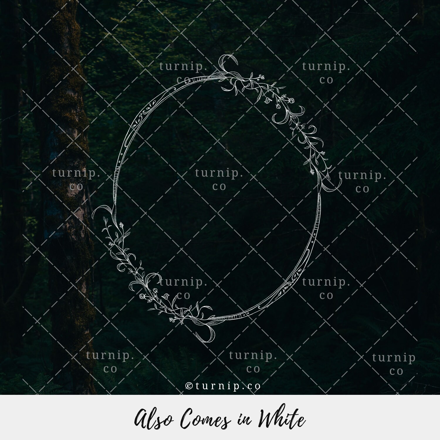 Vintage Botanical Oval Frame PNG Clipart Sublimation Graphic | Etsy