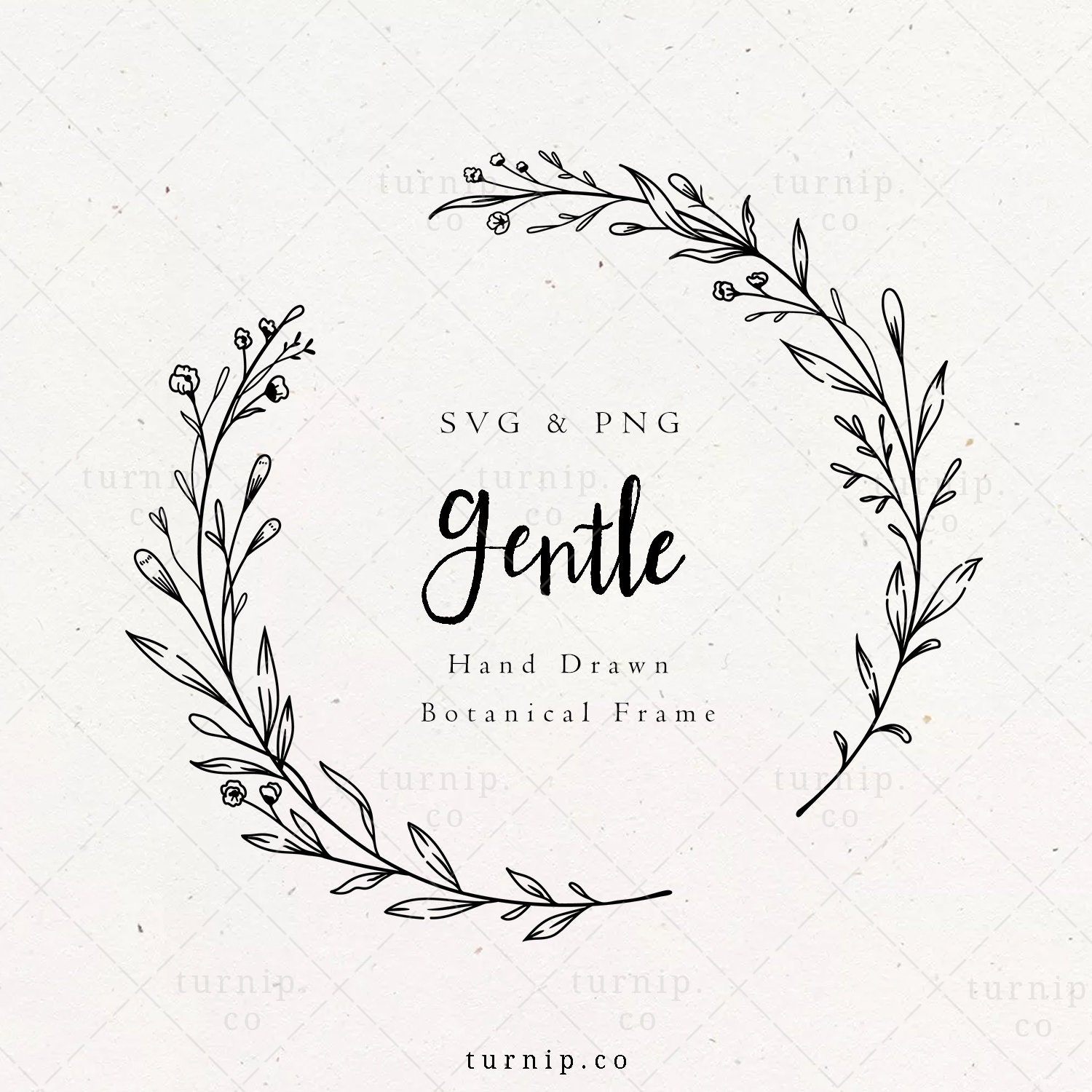 Flower Frame Vector Png