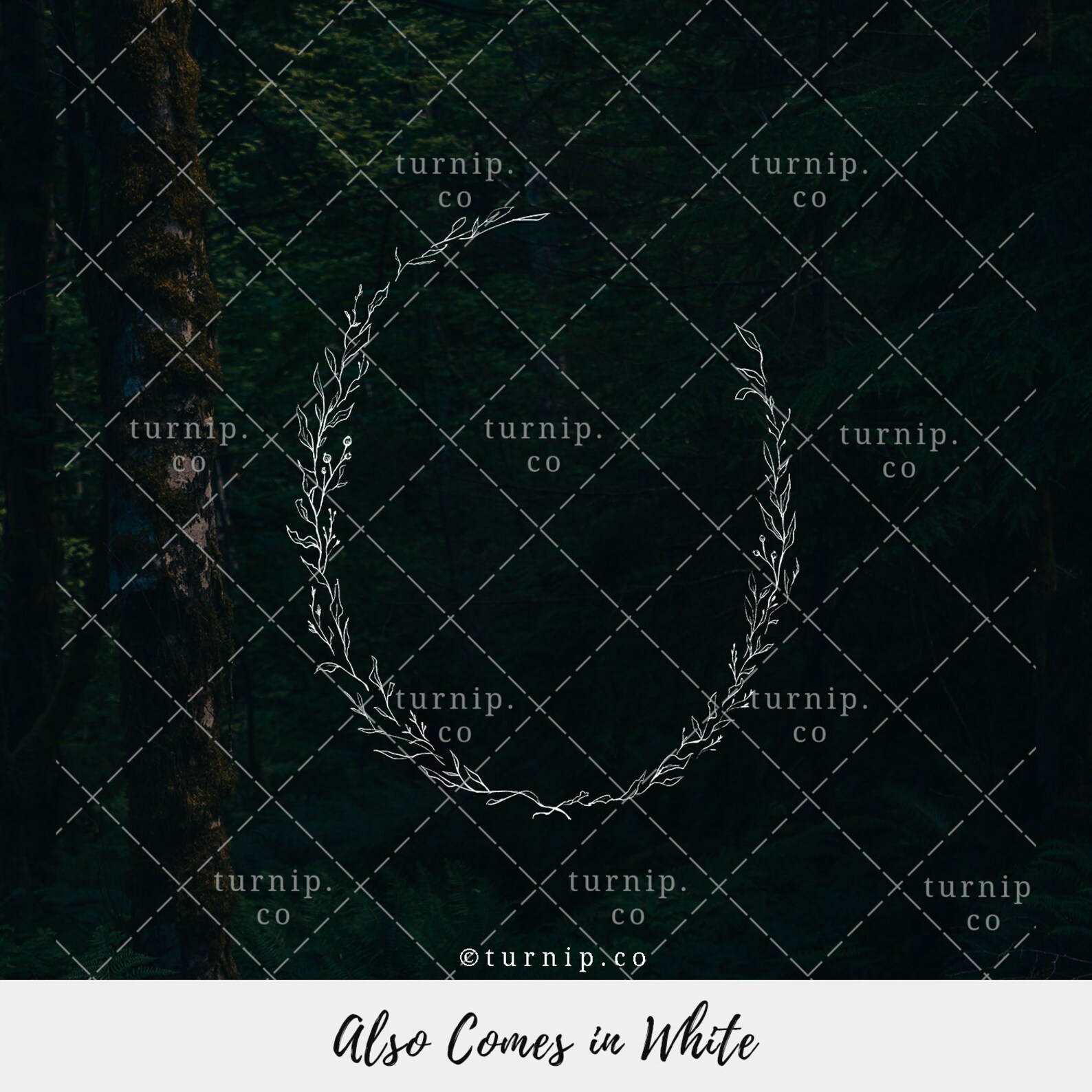 Ephemeral Oval Frame PNG Clipart Sublimation Graphic Design / - Etsy