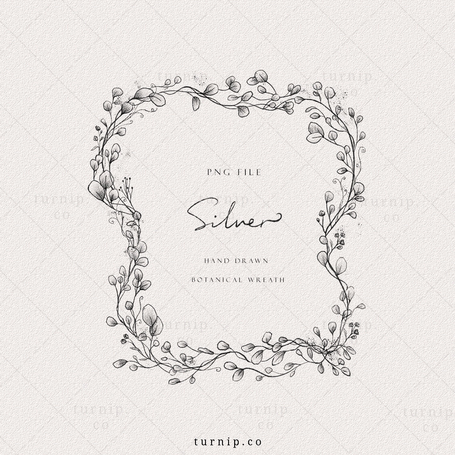 Dollar Border Clipart