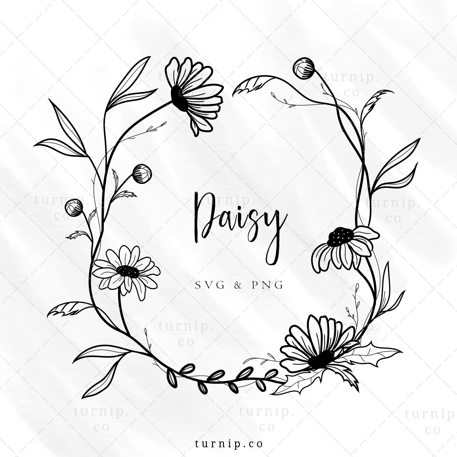 Daisy Clipart Black And White Border