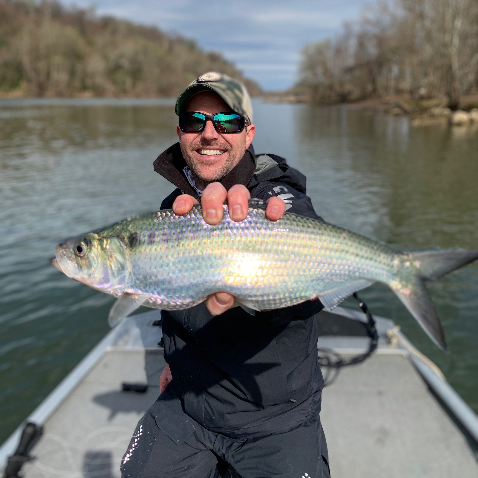 14 Potomac River Shad Dart Fly Assortment Fly Fishing Flies for Shad ...